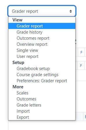 Setting up and Adding Grades: Gradebook Overview | Moodle